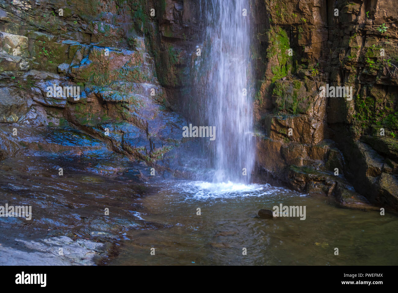 Botanical garden tbilisi waterfall hi-res stock photography and images ...