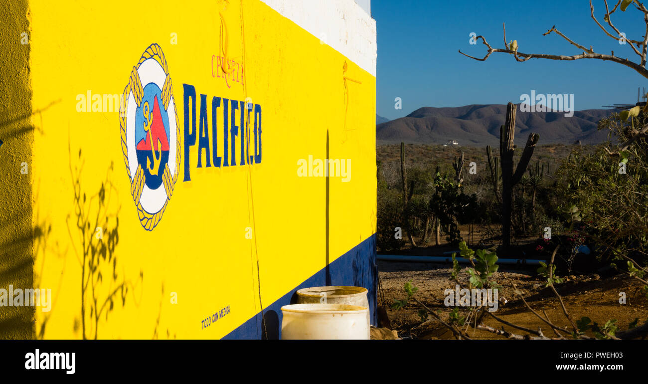 yellow wall pacifico with desert and mountains background, with cactus ...
