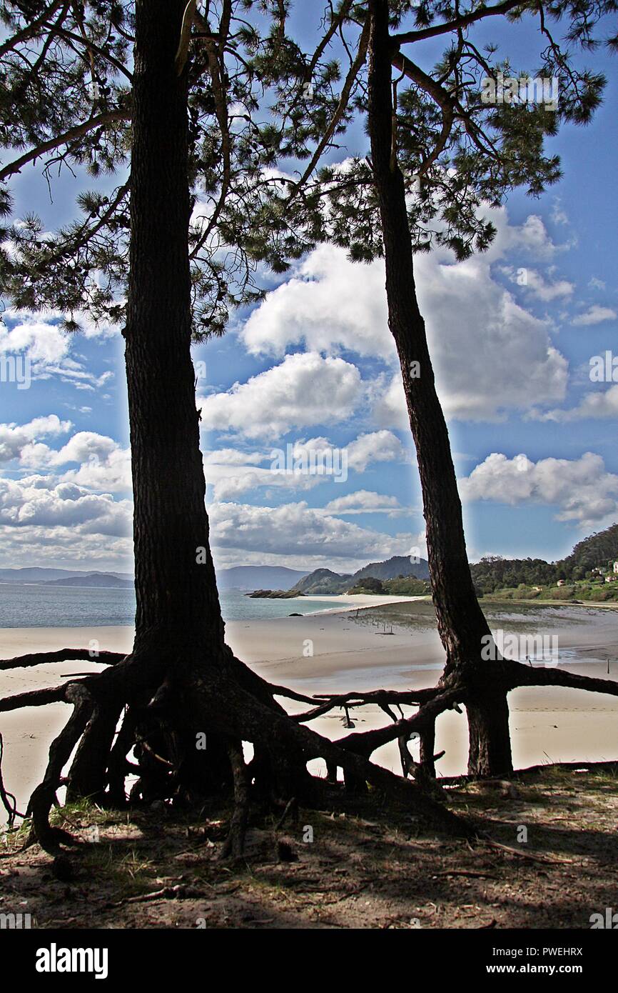 parque Nacional islas Atlánticas Isla Cies Stock Photo - Alamy
