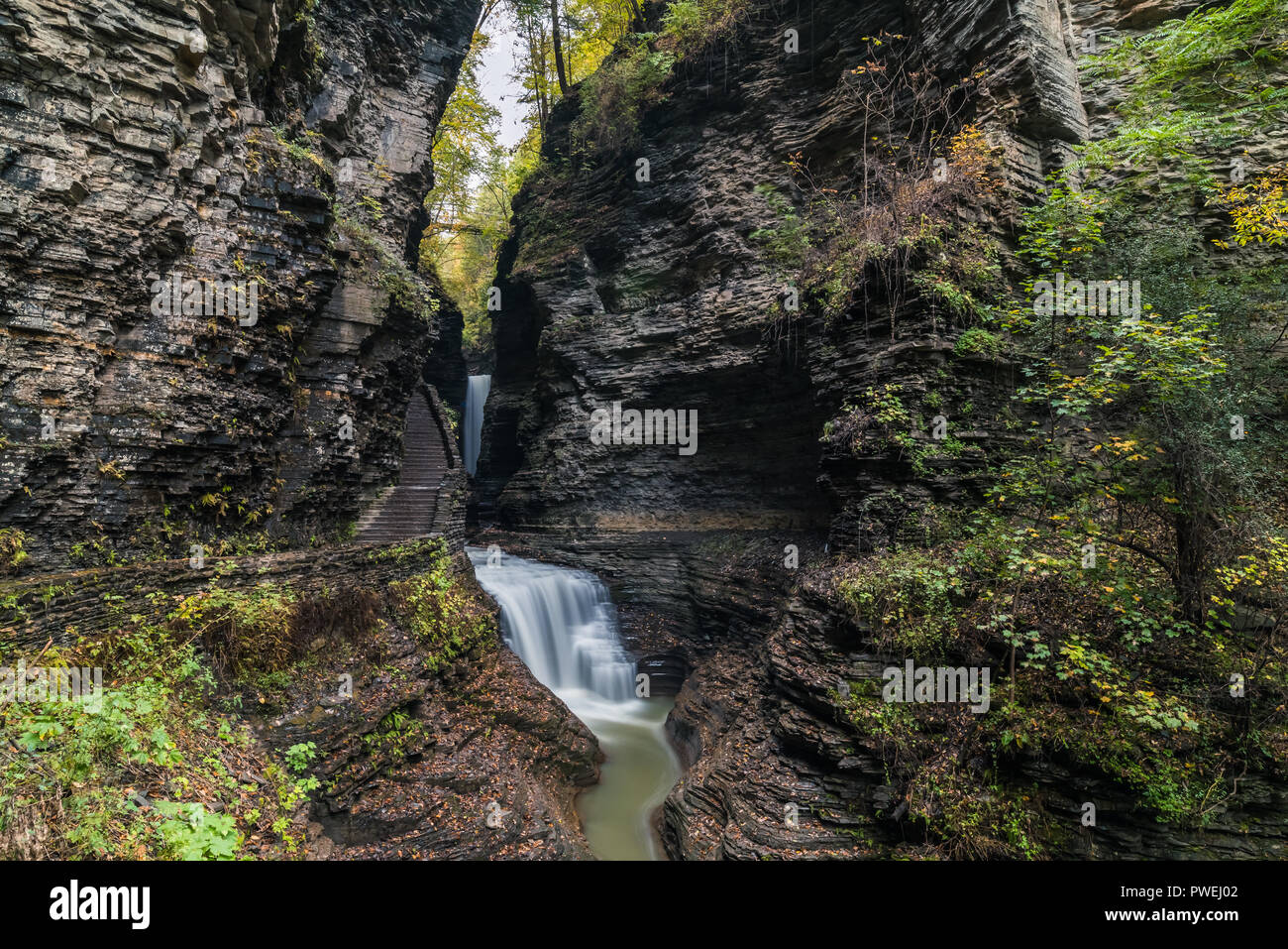 Seneca Creek State Park High Resolution Stock Photography and Images ...