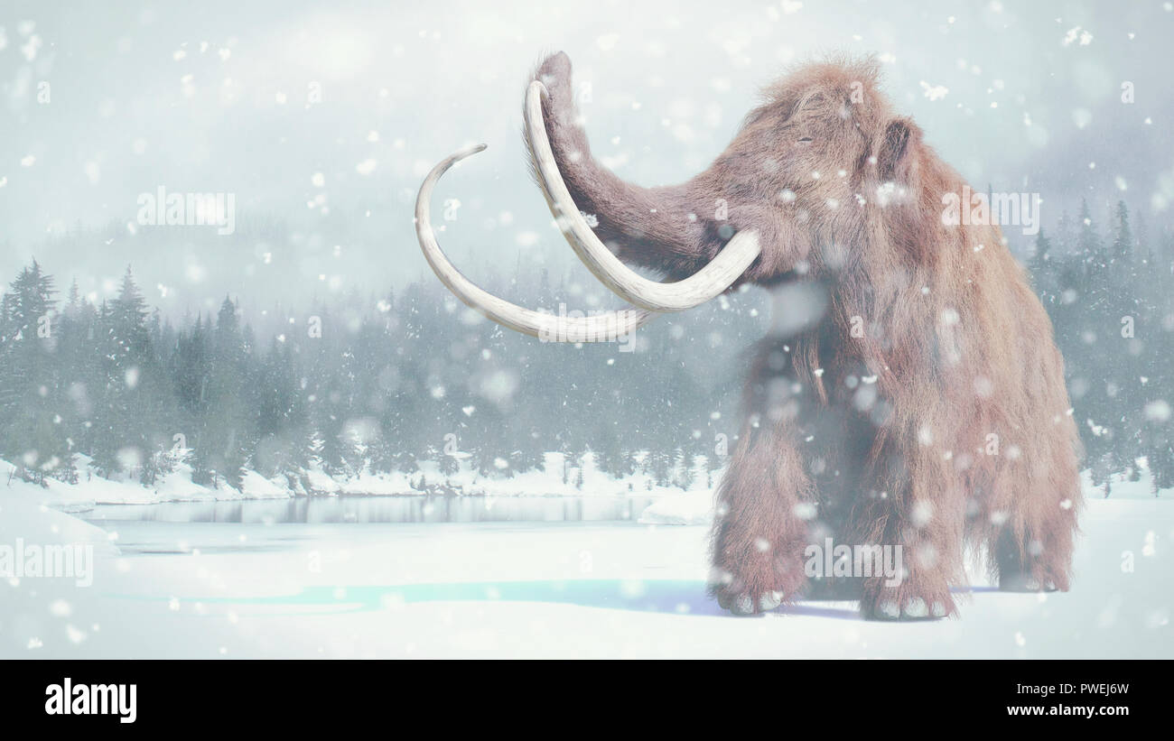 Woolly mammoth prehistoric hi-res stock photography and images - Alamy