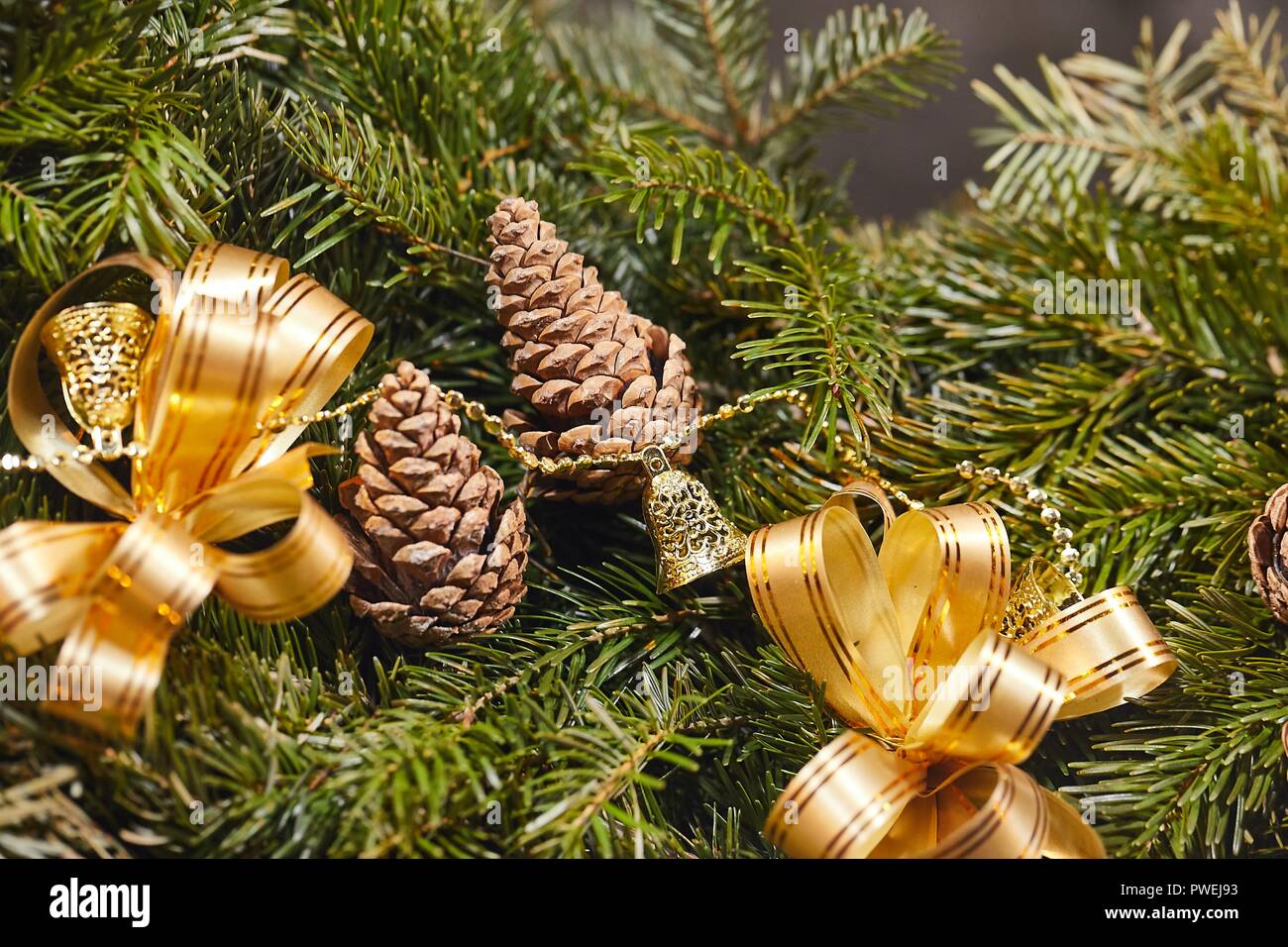 Adven hi-res stock photography and images - Alamy