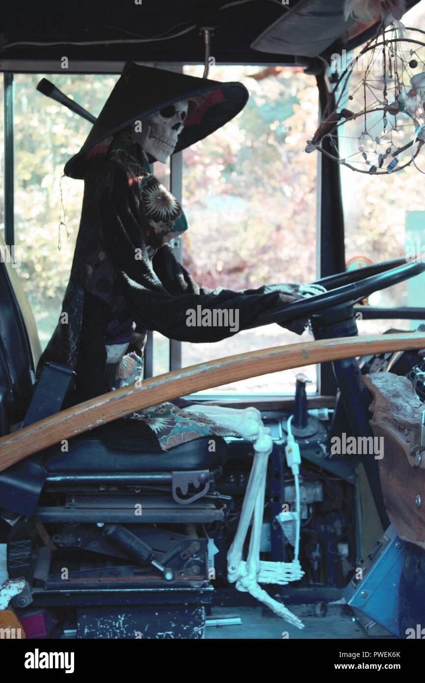 Halloween skeleton drives a bus Stock Photo - Alamy