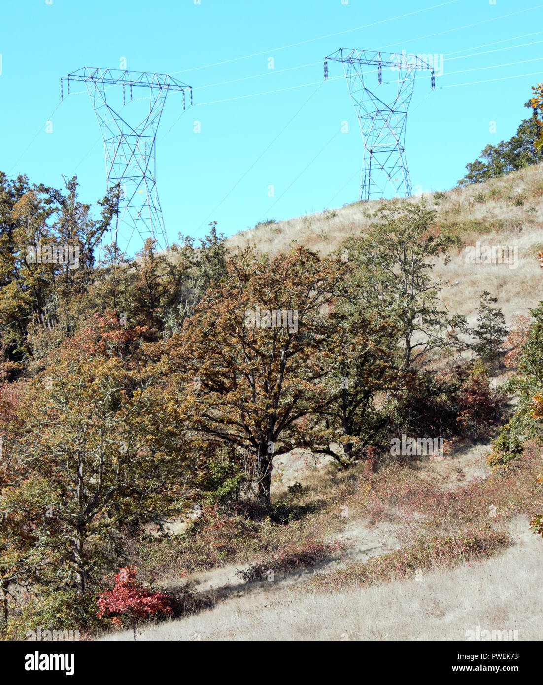 Power line towers dominate the landscape on this country hillside Stock ...