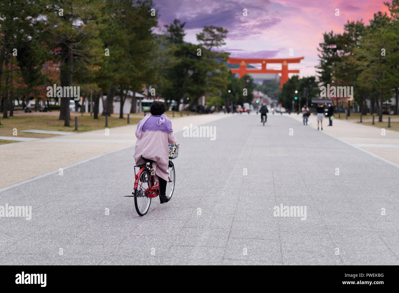 License available at MaximImages.com - Elderly lady on a bicycle riding ...