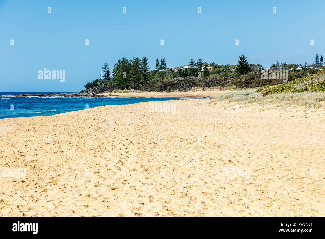 Shelly Stock Photos & Shelly Stock Images - Alamy