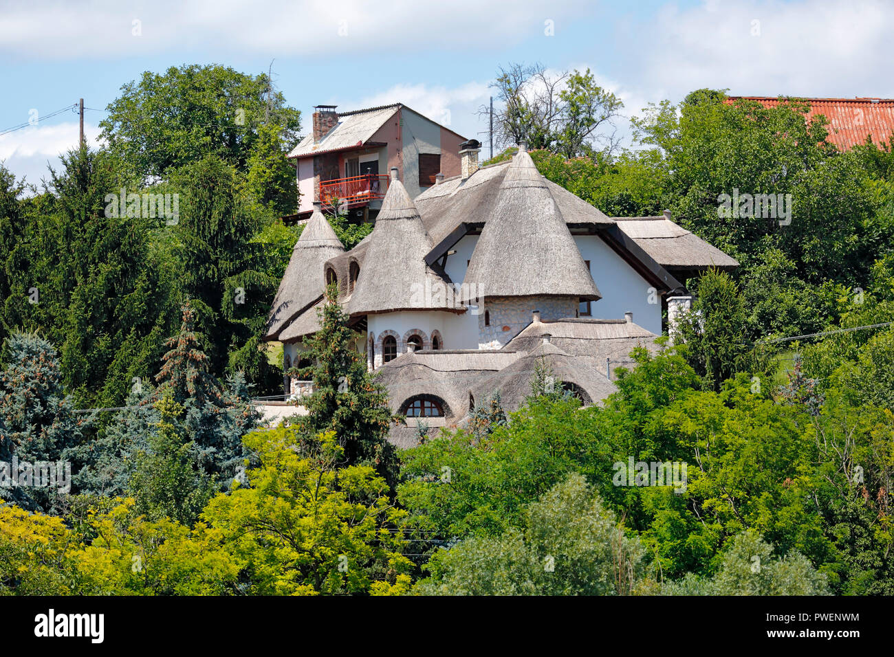 Hungary, Mohacs on the Danube, Transdanubia, Southern Transdanubia ...