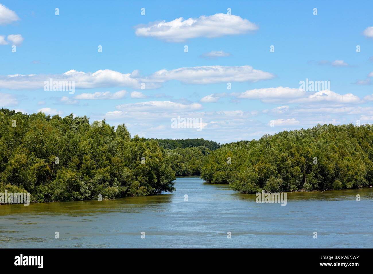 Hungary, Kandafok on the Danube between Mohacs and Dunaszekcsoe ...