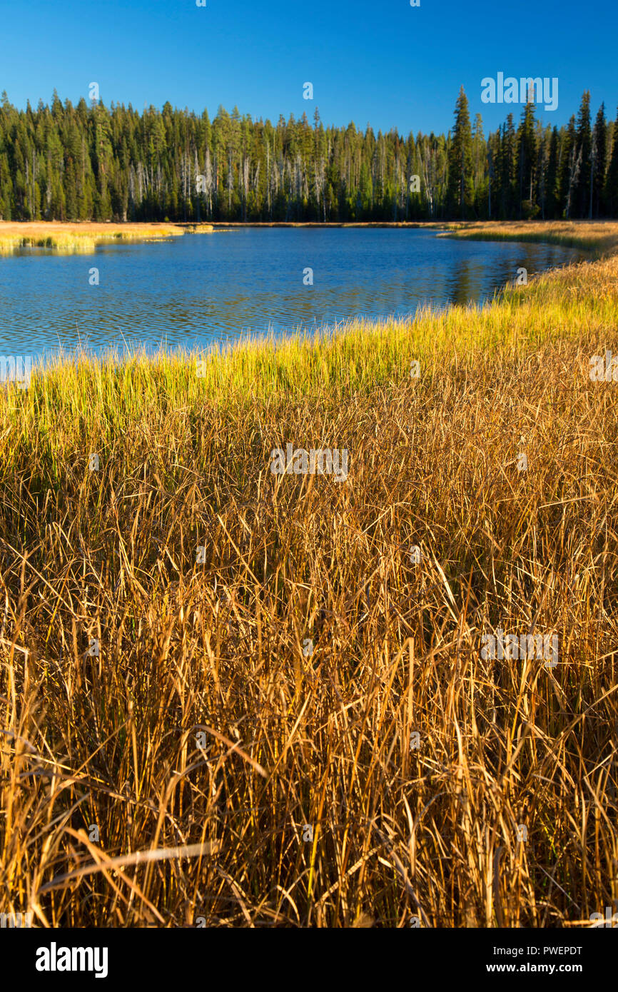 Upper Deschutes River, Deschutes National Forest, Cascade Lakes ...