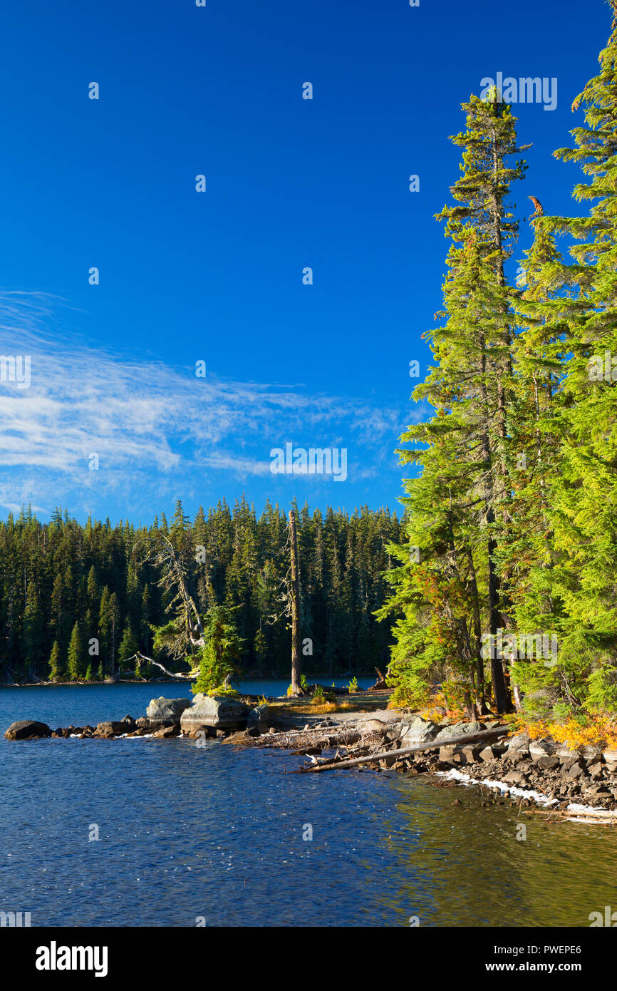 Charlton Lake, Deschutes National Forest, Oregon Stock Photo - Alamy