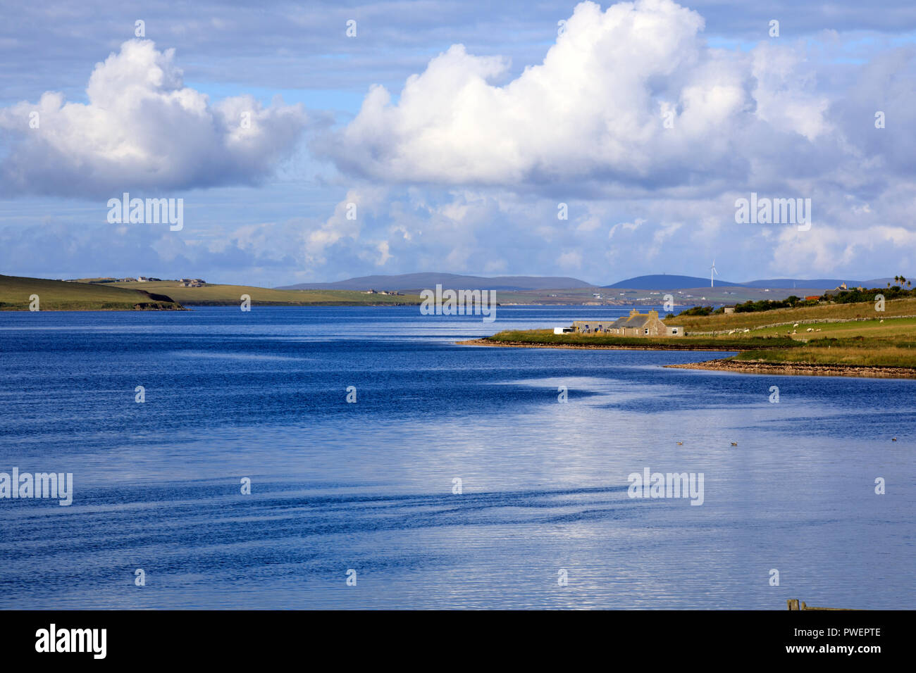 Landscape near harbour of Scapa Flow, Orkney, Scotland, Highlands ...