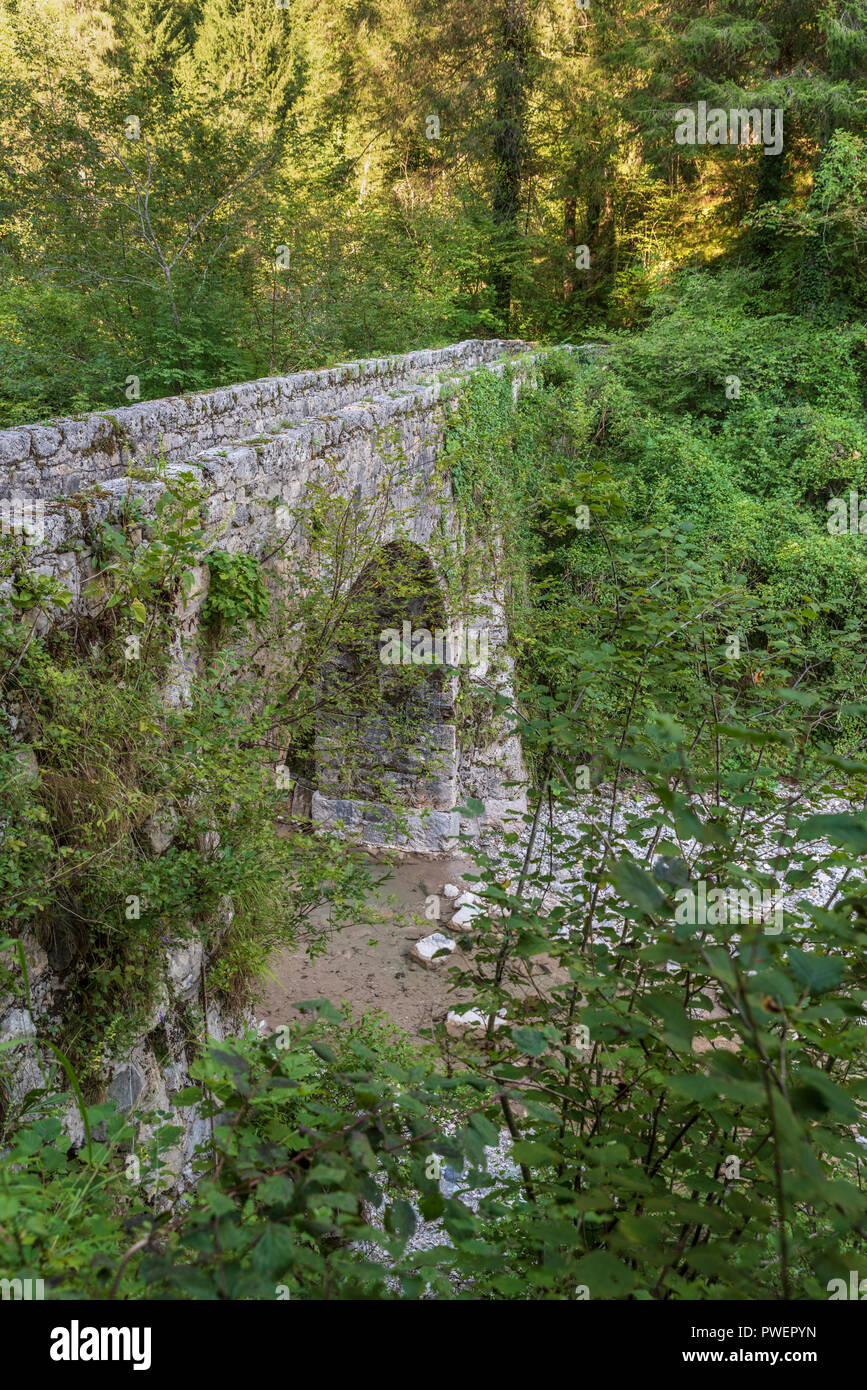 In the woods of Illegio. Carnia, Friuli Stock Photo - Alamy