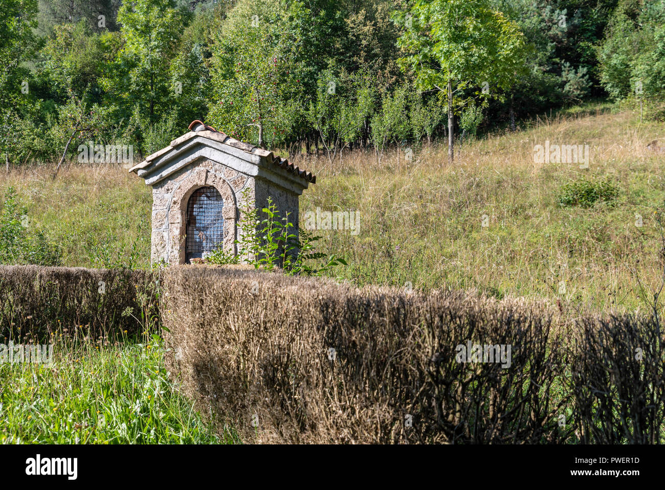 In the woods of Illegio. Carnia, Friuli Stock Photo - Alamy