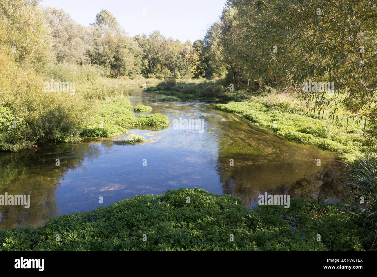 The Salisbury River Avon, meandering at Figheldean, Wiltshire, England ...
