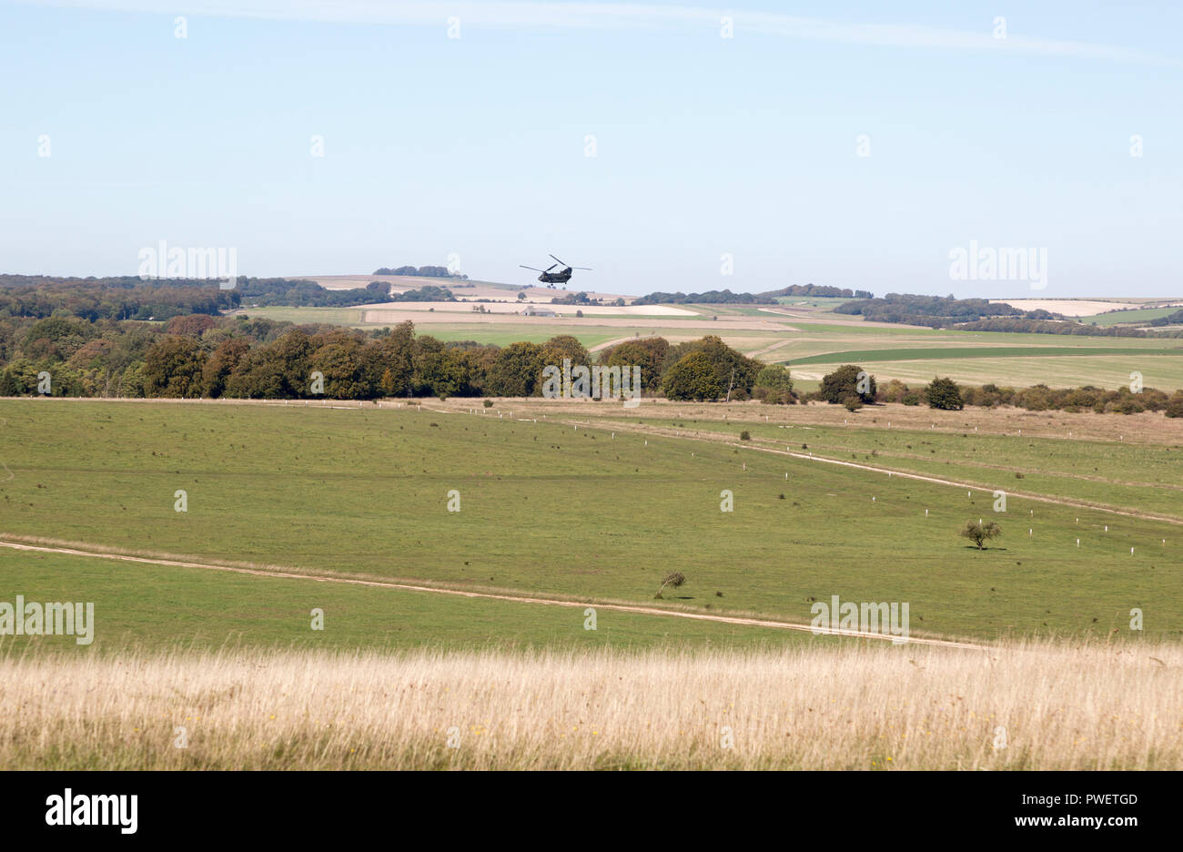Boeing Chinook helicopter flying over military training area, Upavon ...