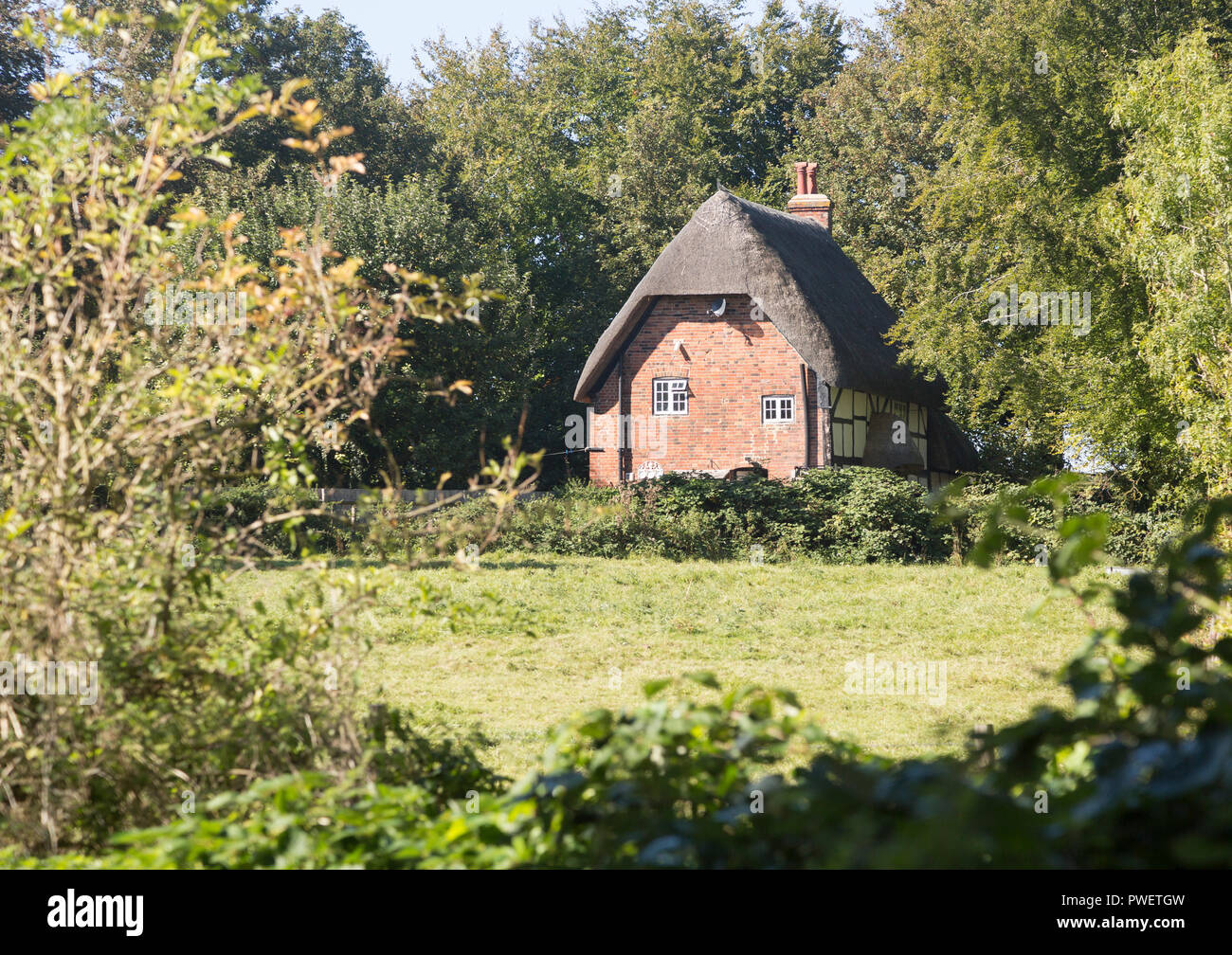 Thatched historic country cottage, Fifield, near Netheravon, Wiltshire ...