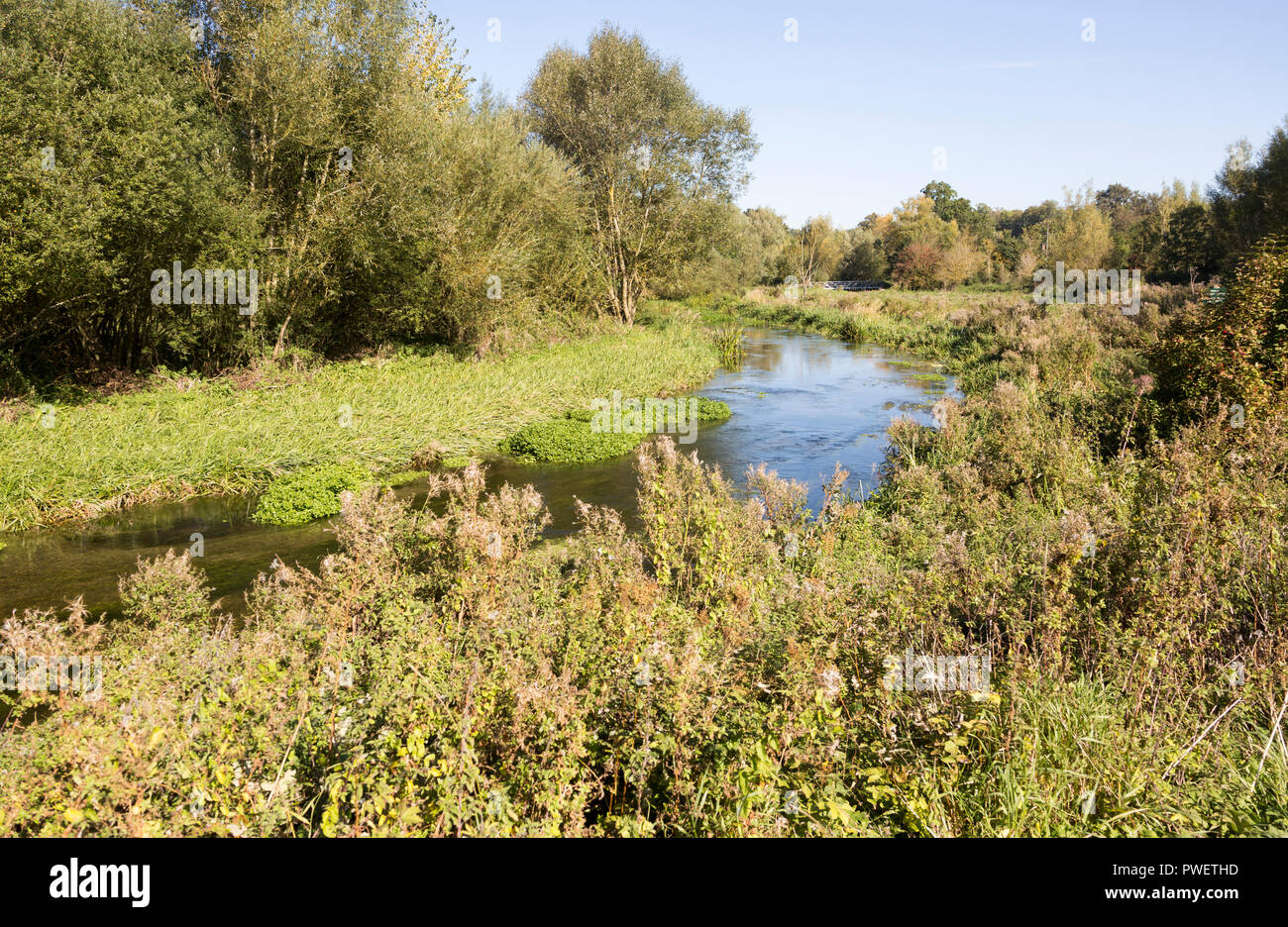 Salisbury River Avon, meandering near Fifield, near Netheravon ...