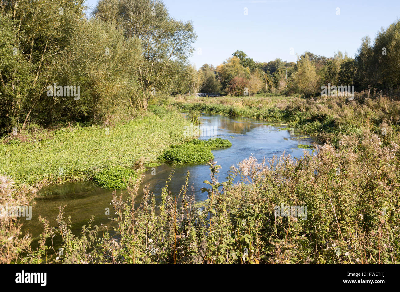 Salisbury River Avon, meandering near Fifield, near Netheravon ...