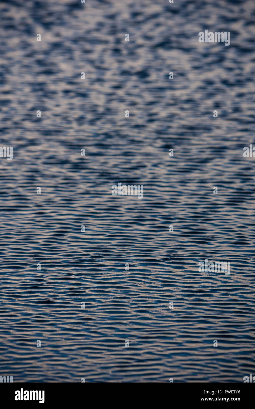 Small wind ripples on a lake Stock Photo - Alamy