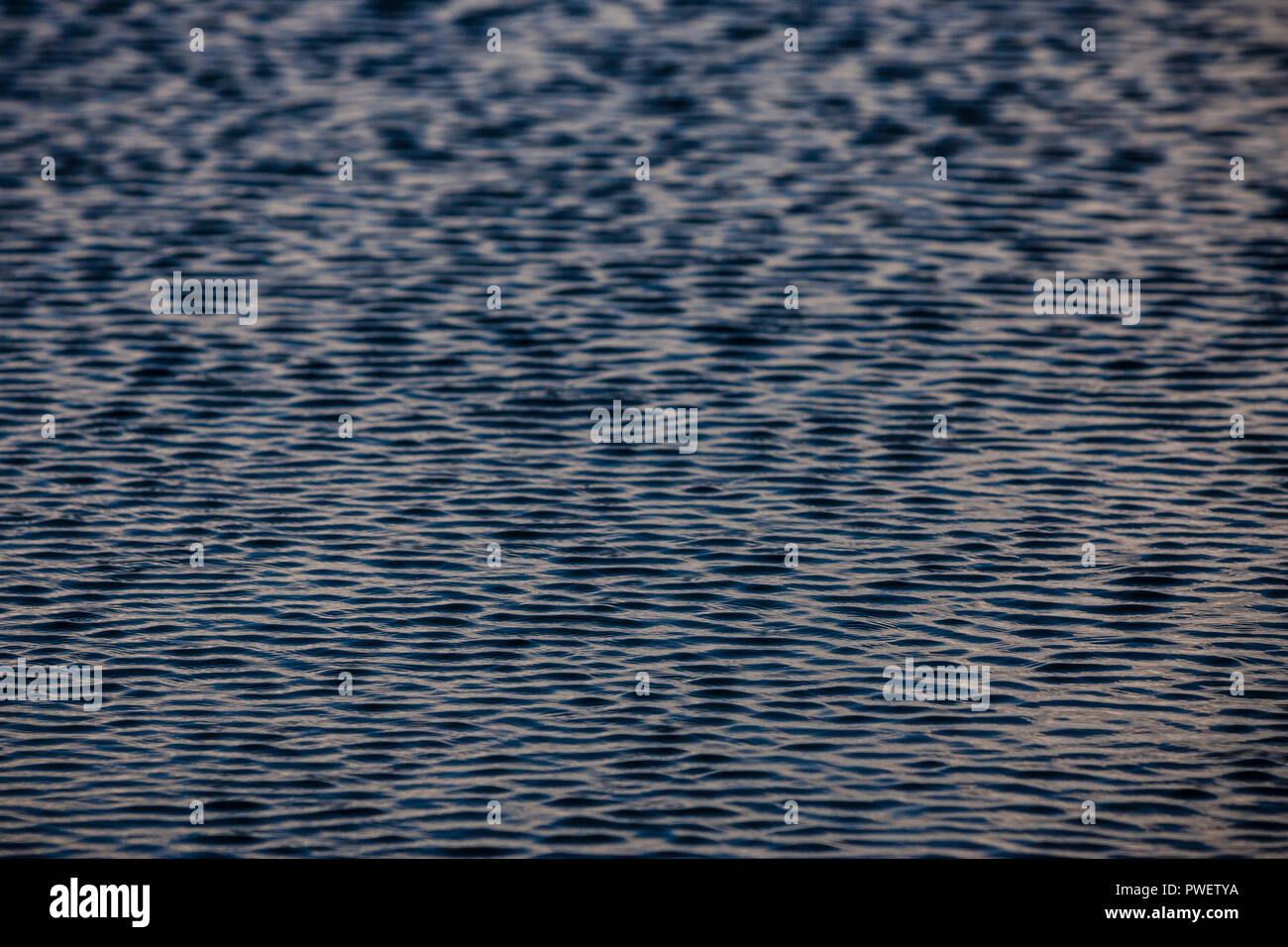 Small wind ripples on a lake Stock Photo - Alamy