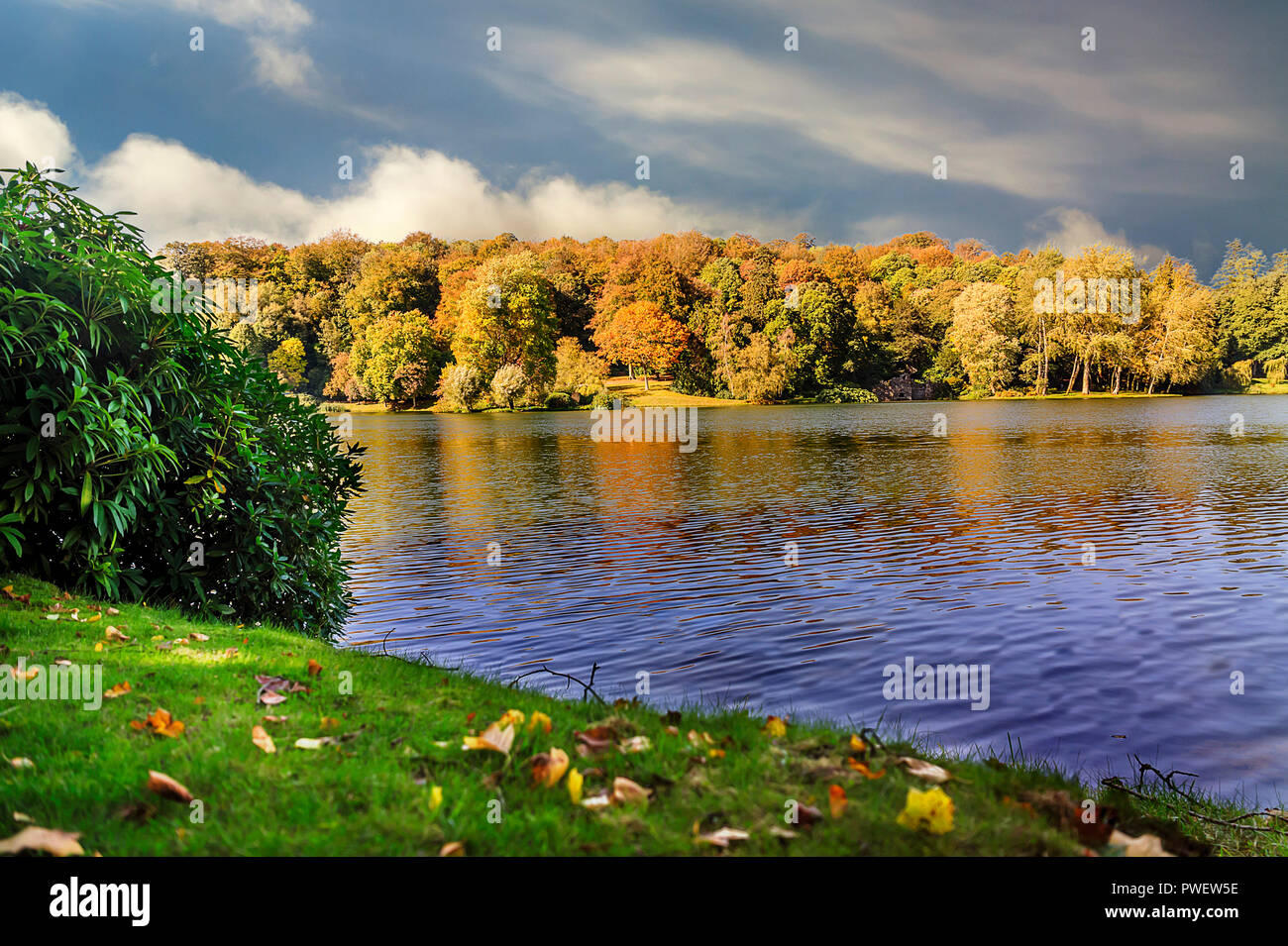 Autumn in the park, vibrant colour, beautiful wiev Stock Photo - Alamy