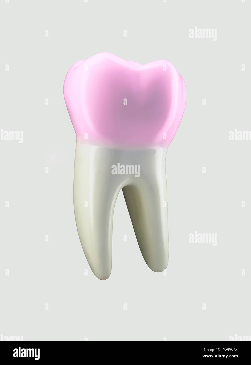 Roots of teeth hi-res stock photography and images - Alamy