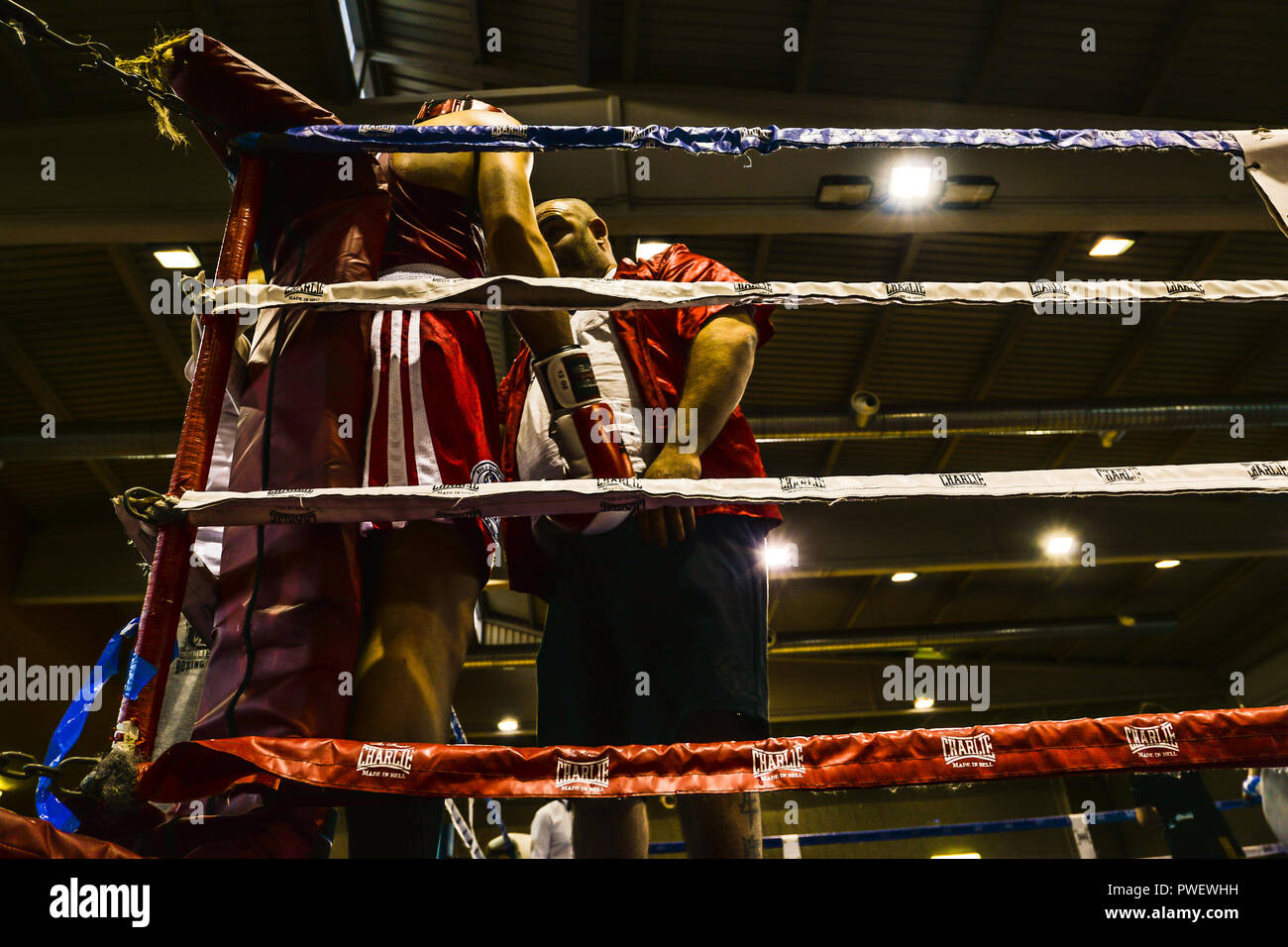 Boxing ring boxing glove action crowd hi-res stock photography and ...
