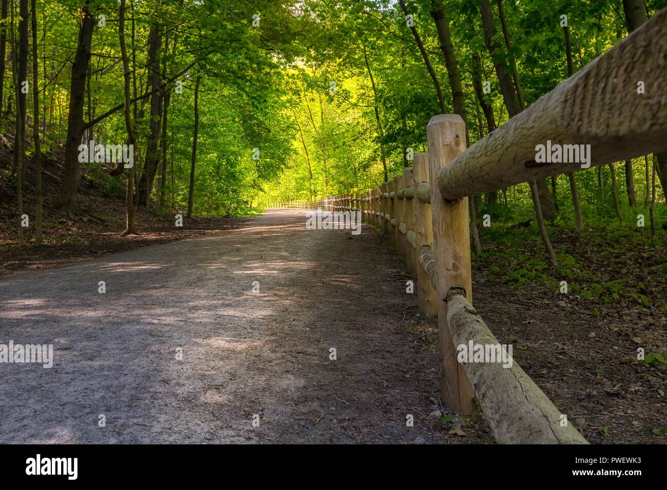 A street in between a forest with a wood fence Stock Photo - Alamy