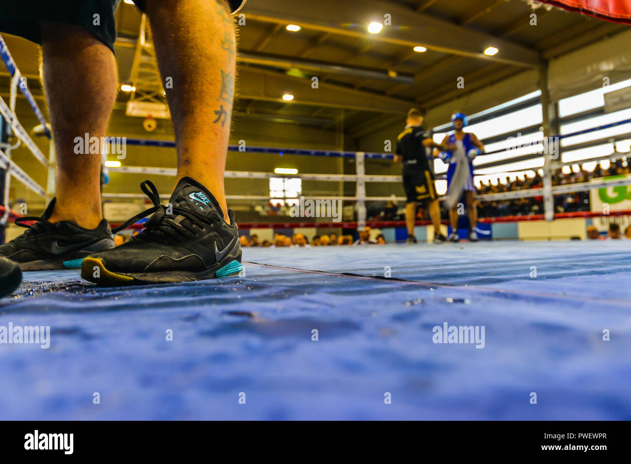 Boxing ring boxing glove action crowd hi-res stock photography and ...