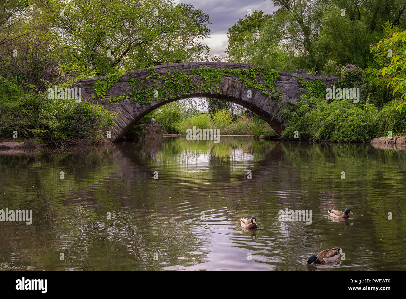 A brigde over a lake at Central Park, New York Stock Photo - Alamy