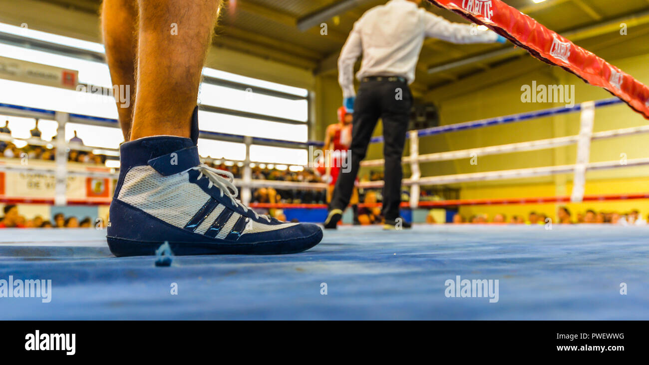 Boxing ring boxing glove action crowd hi-res stock photography and ...