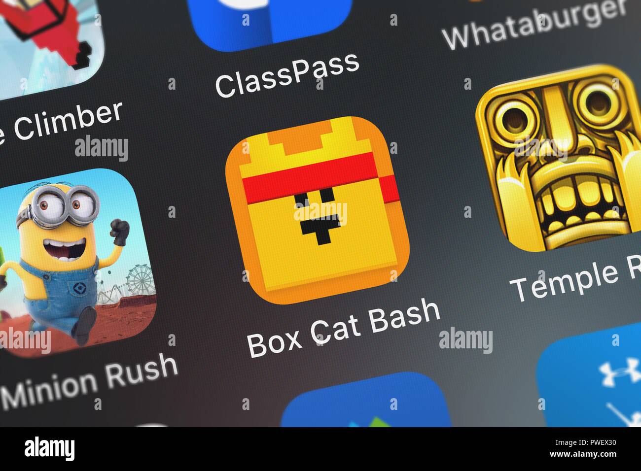 Box cat bash hi-res stock photography and images - Alamy