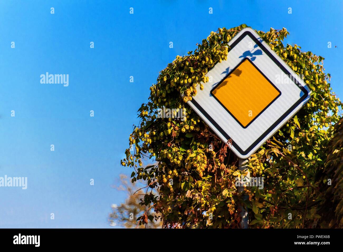 Priority road, european traffic sign against the clear blue sky ...