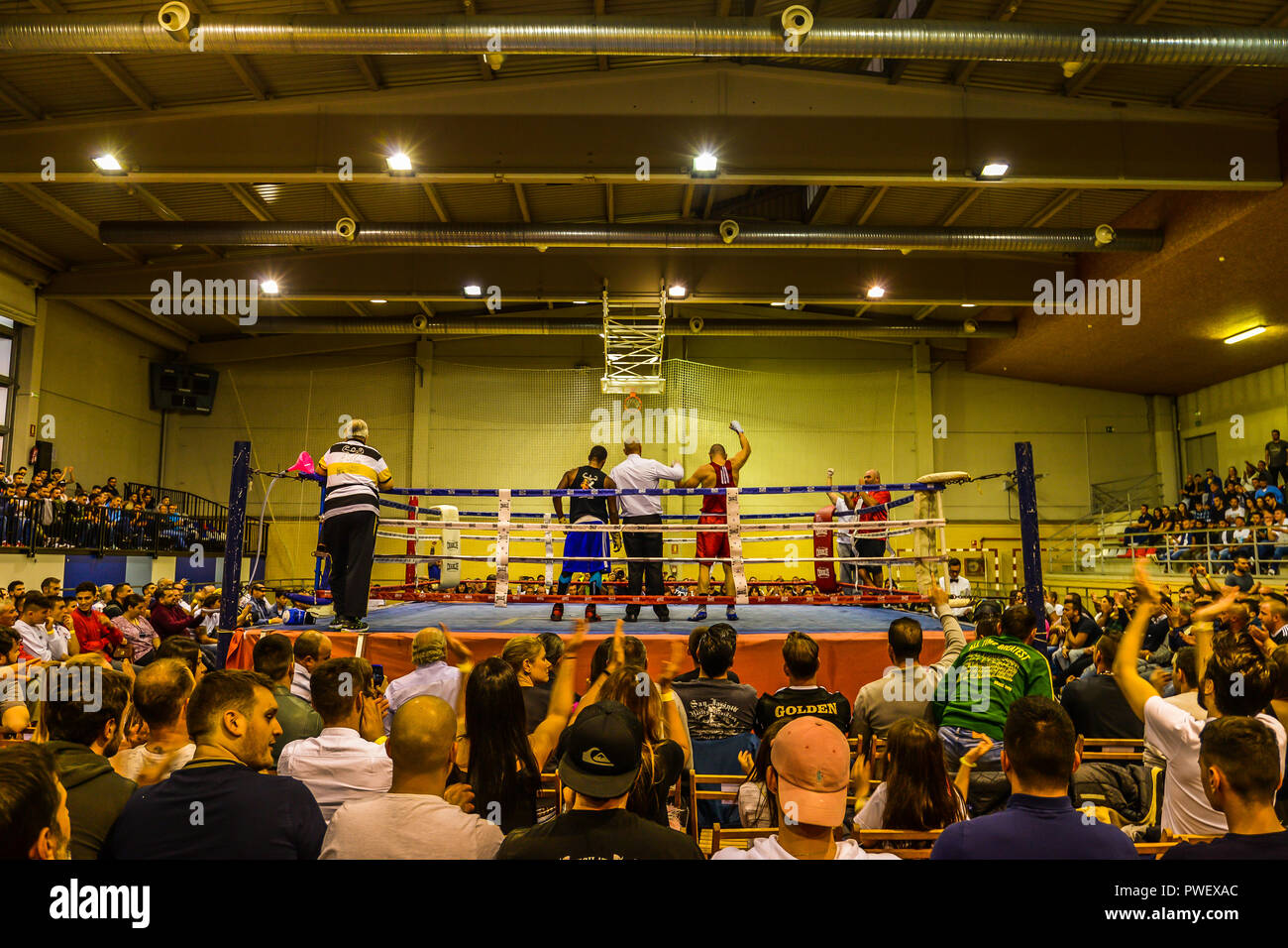 Boxing ring boxing glove action crowd hi-res stock photography and ...