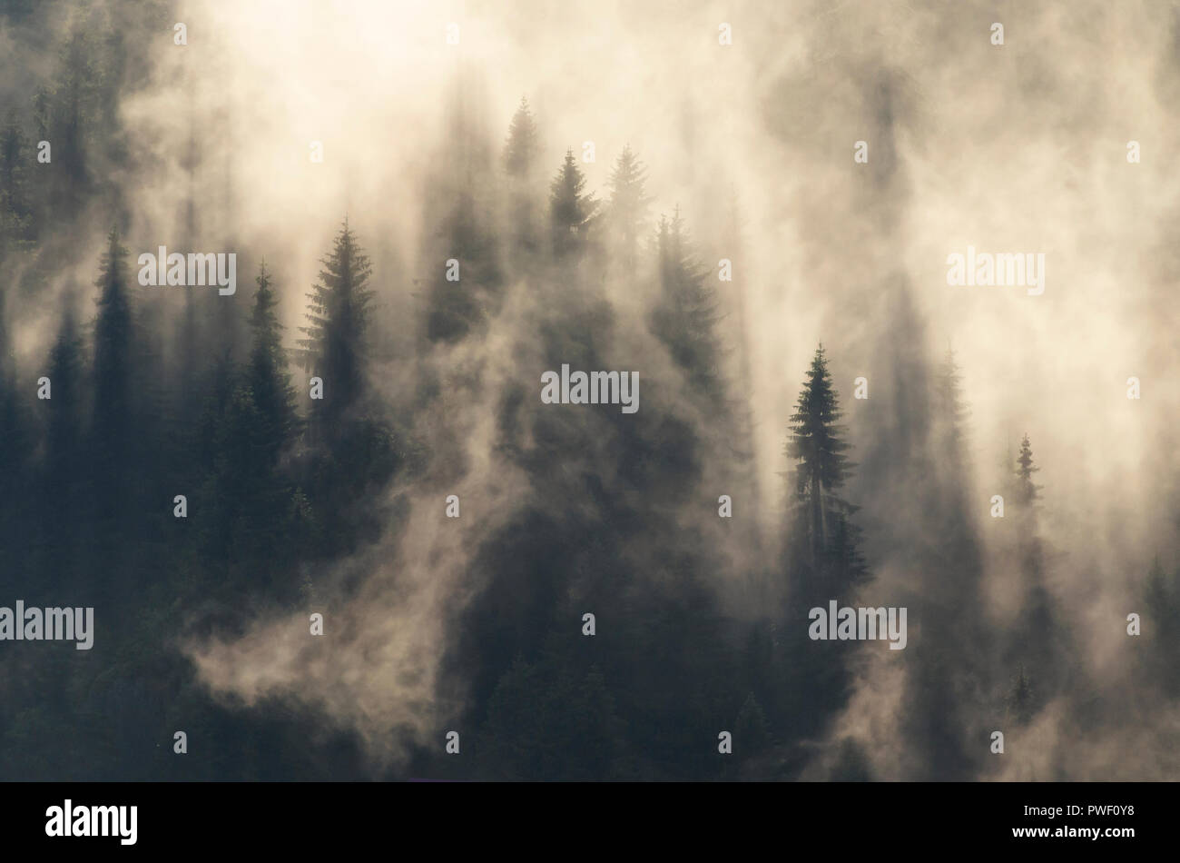 More magic hi-res stock photography and images - Alamy