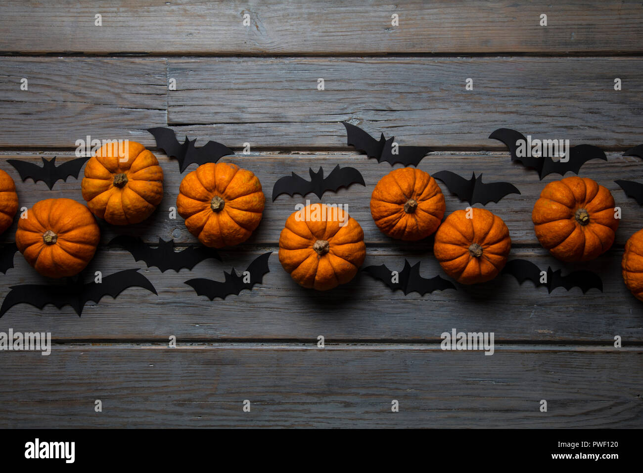 Vampire bats hi-res stock photography and images - Alamy