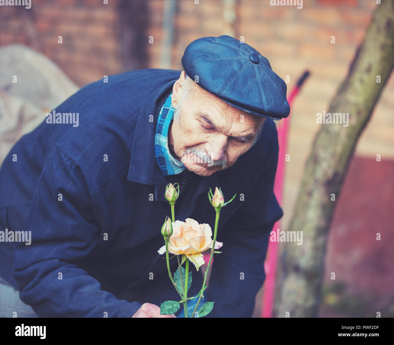 Old man gardening hi-res stock photography and images - Alamy
