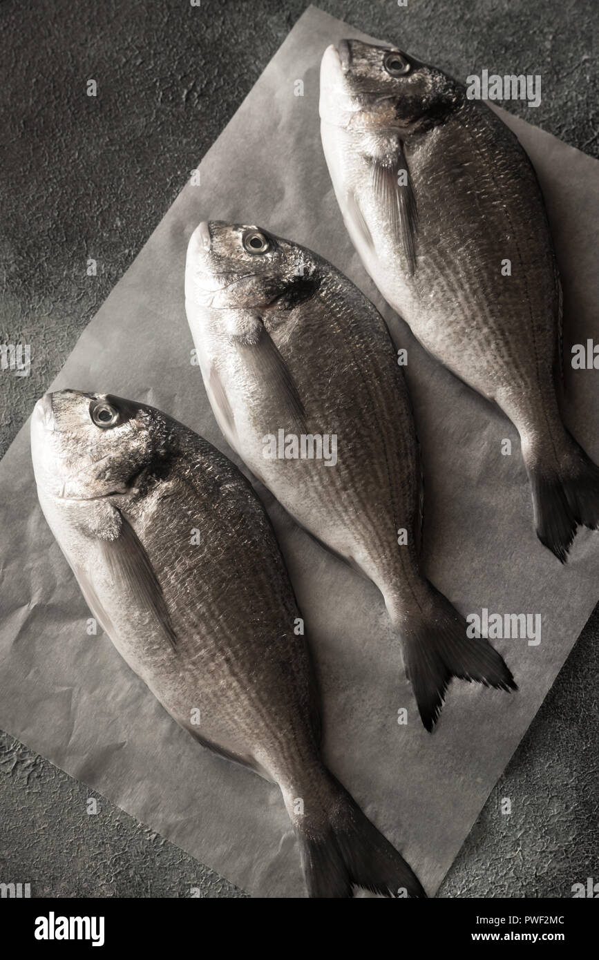 Sea bream (dorada) fish Stock Photo - Alamy