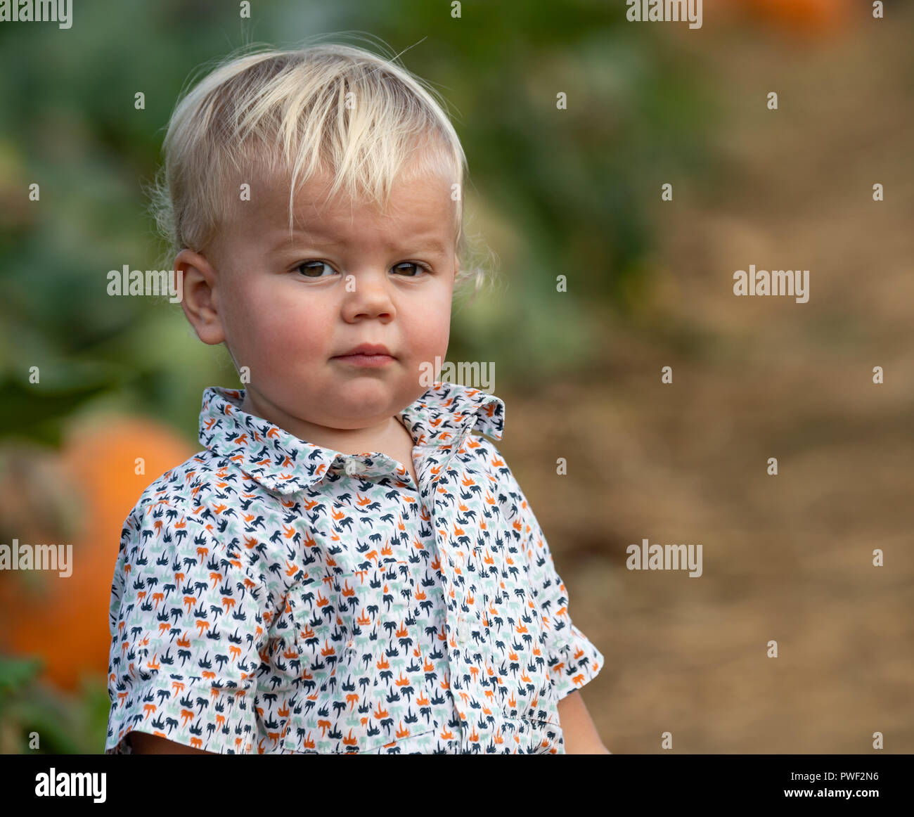 Baby fall hi-res stock photography and images - Alamy