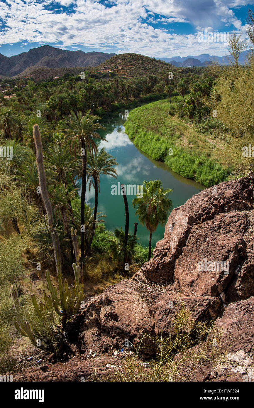 Oasis paradise hi-res stock photography and images - Alamy
