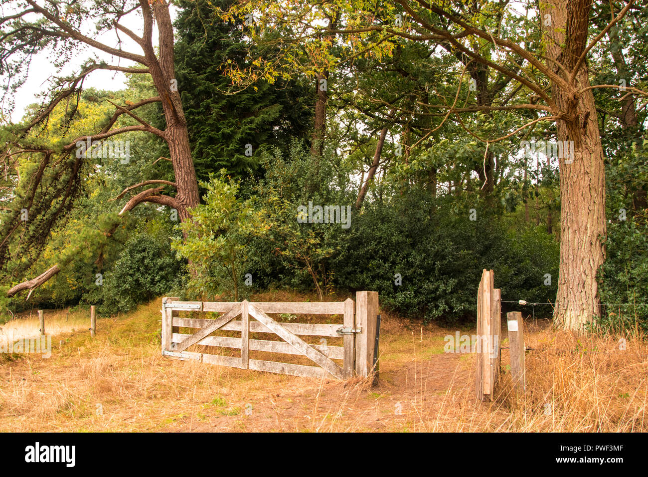 Entering a walking path towards a forest in Uffelte, Drenthe ...
