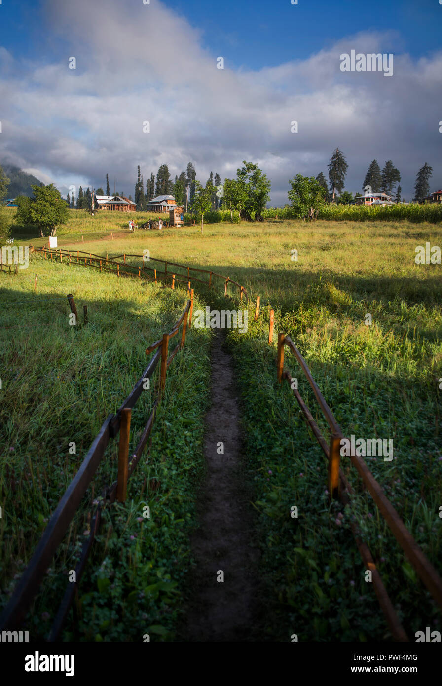 Remember amazing hi-res stock photography and images - Alamy