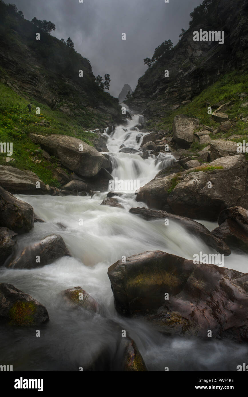 Natures display hi-res stock photography and images - Alamy