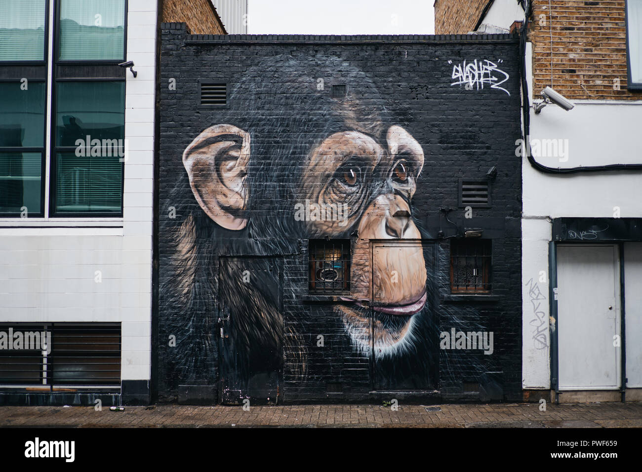 Graffiti chimpanzee on wall hi-res stock photography and images - Alamy