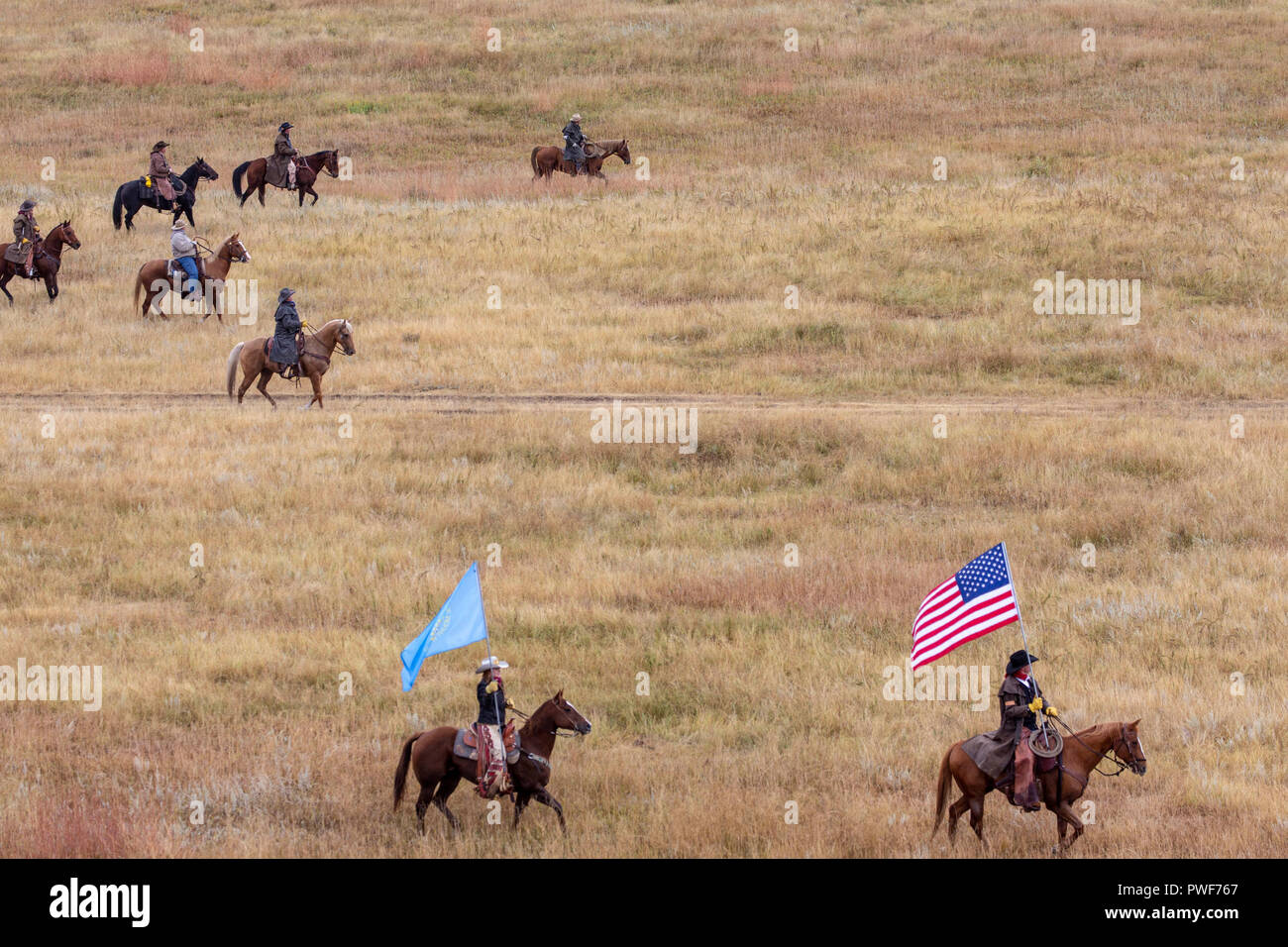 Buffalo roundup at Custer State Park in South Dakota Stock Photo - Alamy