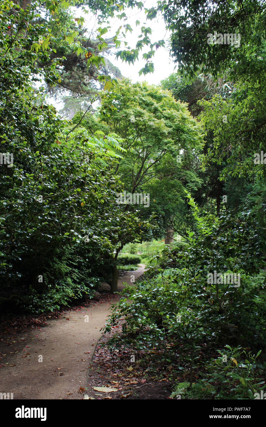 A dirt path meandering through green shrubbery and trees in a park in ...