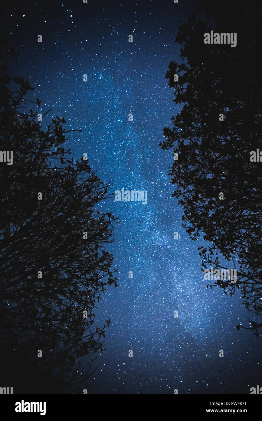 Night Sky Stars Texture