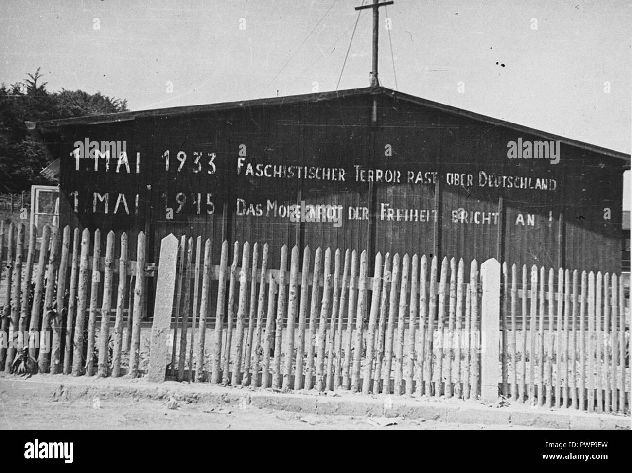Buchenwald hi-res stock photography and images - Alamy