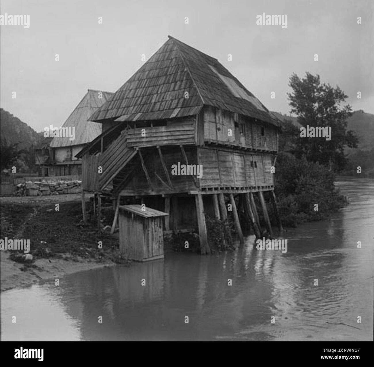 Bruner hi-res stock photography and images - Alamy