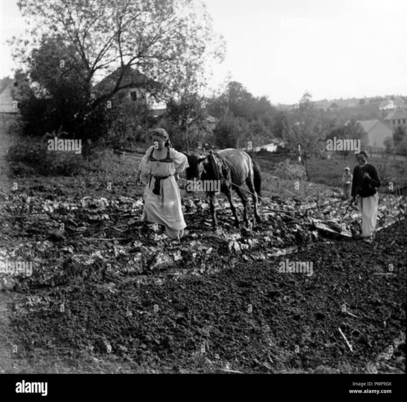 Bruner-Dvorak Rudolf - Bosna polni prace (ca 1906 Stock Photo - Alamy